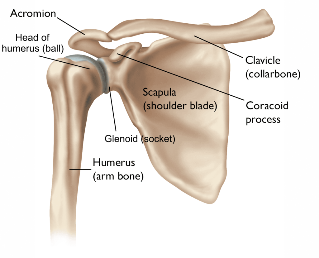 Reverse Shoulder Replacement Chennai | Shoulder Arthritis | Shoulder ...